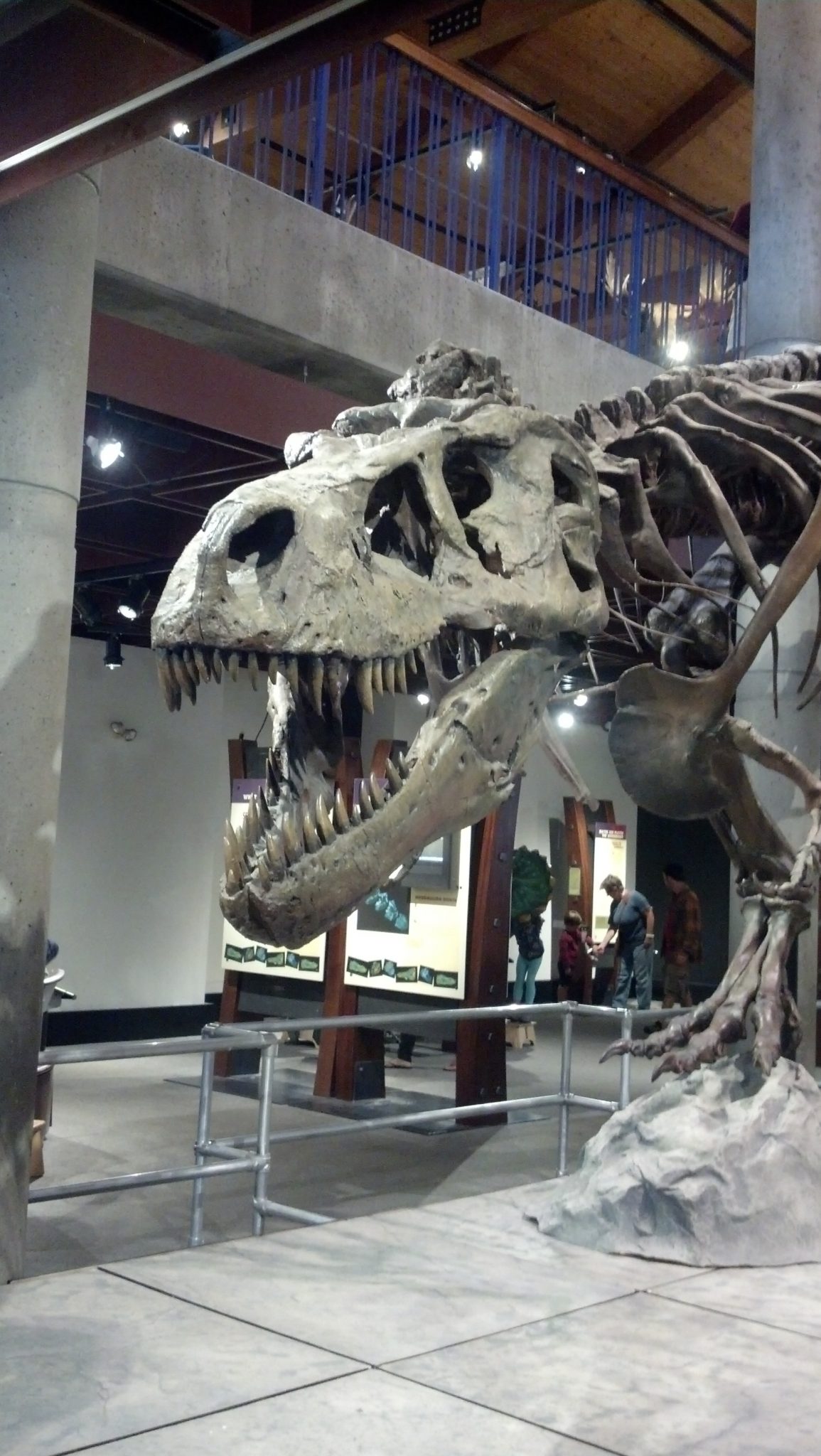 Our Last Summer Break Trip - Montshire Museum of Science in Norwich, VT